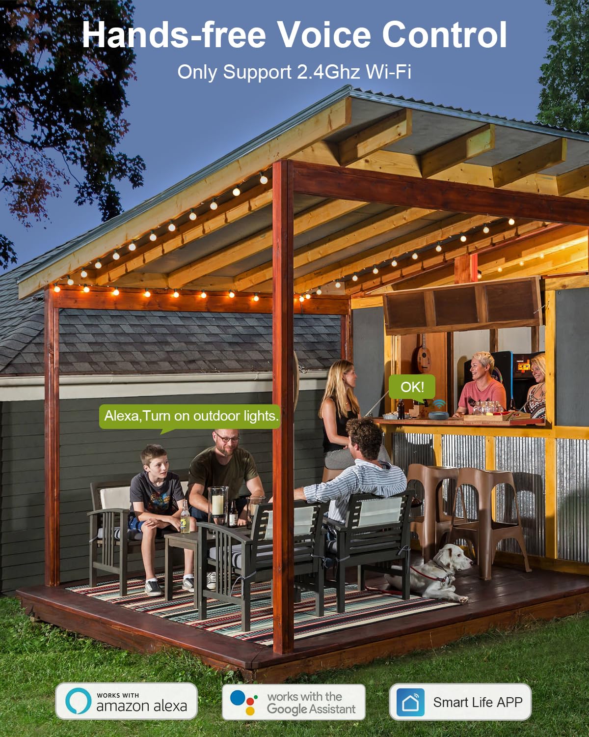 SURAIELEC 300W Smart Landscape Lighting Transformer, 2.4 Ghz Wi-Fi Low ...